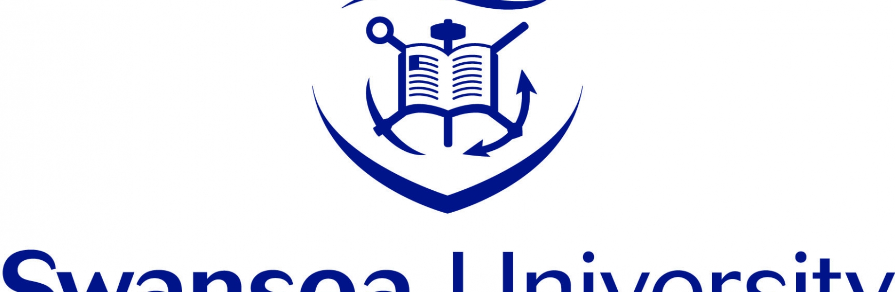 swansea-university-logo-cmyk.pdf | AnalySwift